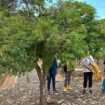 Full Day Tour in Finca Estramancia Vineyard with stop in Chapala - Who Will Love This Tour?