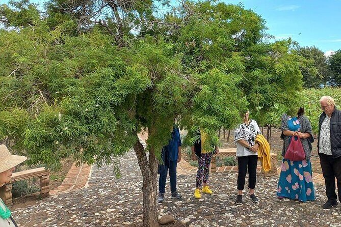 Full Day Tour in Finca Estramancia Vineyard with stop in Chapala - Who Will Love This Tour?