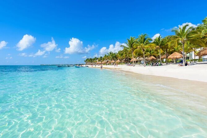 Full Day Tour Snorkeling with Turtles in Akumal, Tulúm and Playa del Carmen - What’s Included and What’s Not?