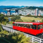 Full Day Wellington Tour - Including maoritanga - Overall Value and Experience