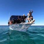 Full-Day Whale Shark Snorkeling Adventure with Beach Lunch - What We Like and What to Consider