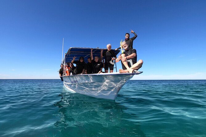 Full-Day Whale Shark Snorkeling Adventure with Beach Lunch - What We Like and What to Consider