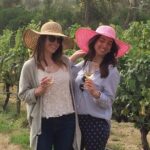 Full-Day Wine Gourmet and Scenic Delight Tour of Marlborough from Blenheim - Final Thoughts: Is This Tour Right for You?