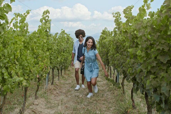 Full-Day Wine, Whiskey & Beer Tour w/ Lunch Pairing - A Deep Dive into the Tour Experience