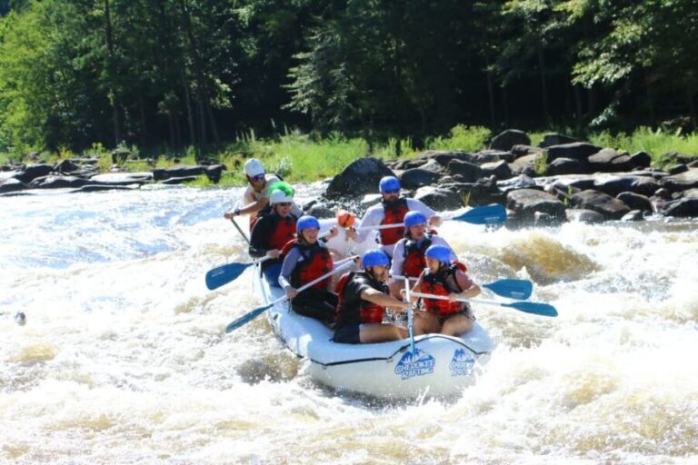 Full River Ocoee Whitewater Rafting Trip with Shore Lunch - Who Should Consider This Tour?