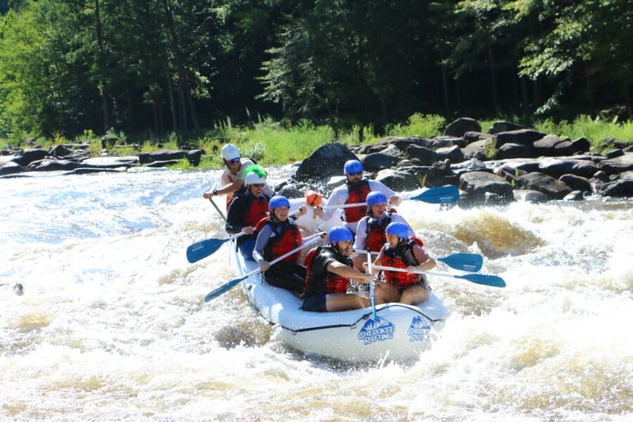 Full River Ocoee Whitewater Rafting Trip with Shore Lunch - Who Should Consider This Tour?