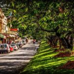 Fully Inclusive Blue Mountains Private Tour inc Scenic World & Featherdale Entry - The Itinerary: What to Expect