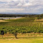 Fully Private and Customisable Hunter Valley Wine Tour - Analyzing the Cost and Value