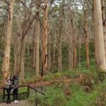 Fully Tailored Private Bespoke Tour of Margaret River - Who Would Love This Experience?