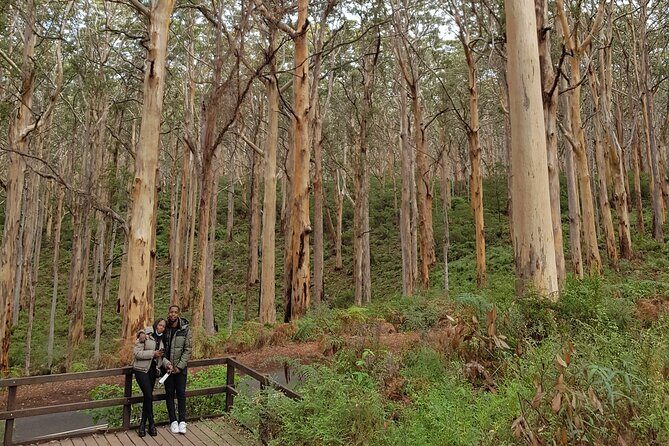 Fully Tailored Private Bespoke Tour of Margaret River - Who Would Love This Experience?