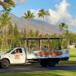 Fun & Affordable! West Maui Open-Air Sightseeing Tour! - Final Thoughts: Is It Worth It?