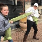 Fun City Scavenger Hunt in Mississauga by Zombie Scavengers - Authentic Insights and Past Experiences