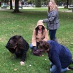 Fun City Scavenger Hunt in Ottawa by Operation City Quest - Final Thoughts