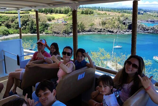 Fun! Open-Air Banyan Tree Forest & Blowhole Sight-Seeing MauiTour - Who Would Love This Tour?