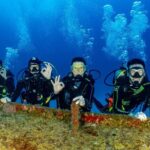 FunDiving in Cozumel - By Ferry - 2 Tanks in the wonderful Caribbean sea - Authentic Insights From Reviewers