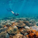 Funtastic Catamaran Cruise and Snorkel of Great Keppel Islands - An Overview of the Tour Experience