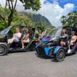 FUV Expedition: Your Epic Island Quest! - The Sum Up: Who Is This Tour Best For?