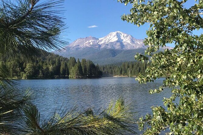 Galactic Origins Mount Shasta Tour - Authentic Experiences from Past Guests