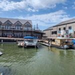 Galveston: Dolphin Watching Boat Tour in Galveston Bay - The Practicalities: What You Need to Know