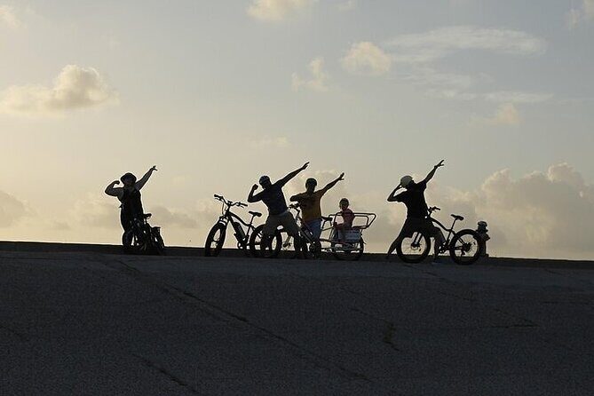 Galveston Island Art & Mural E-Bike Tour - The Value of This Artistic Bike Tour