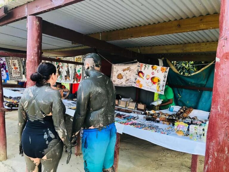 Garden of Sleeping Giant with Sabeto Hotspring Mudpool Tour - Logistics & Practical Tips