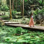 Garden of Sleeping Giant with Tifajek Mudpool Hotspring Tour - An In-Depth Look at the Experience