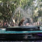 Gastronomic experience in Coyoacán - The Group Size and Practicalities