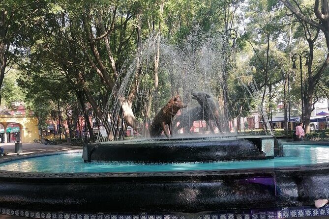 Gastronomic experience in Coyoacán - The Group Size and Practicalities