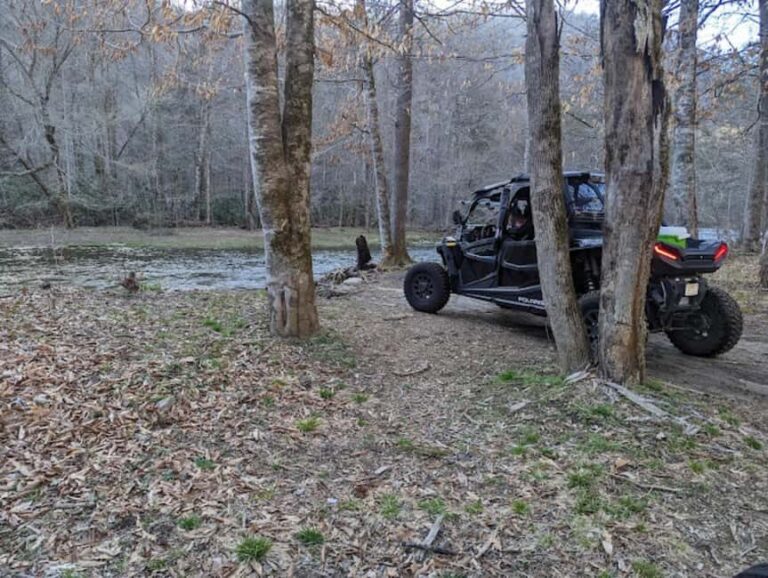 Gatlinburg: Self-Guided Street Legal UTV Rentals - Pricing and Value