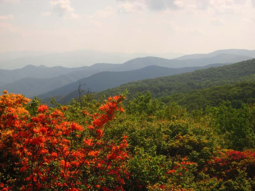 Gatlinburg: Smoky Mountain Appalachian Bald Guided Hike - Frequently Asked Questions