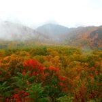 Gatlinburg: Smoky Mountains Fall Foliage Guided Tour - Who Will Love This Tour?