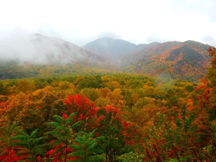 Gatlinburg: Smoky Mountains Fall Foliage Guided Tour - Who Will Love This Tour?