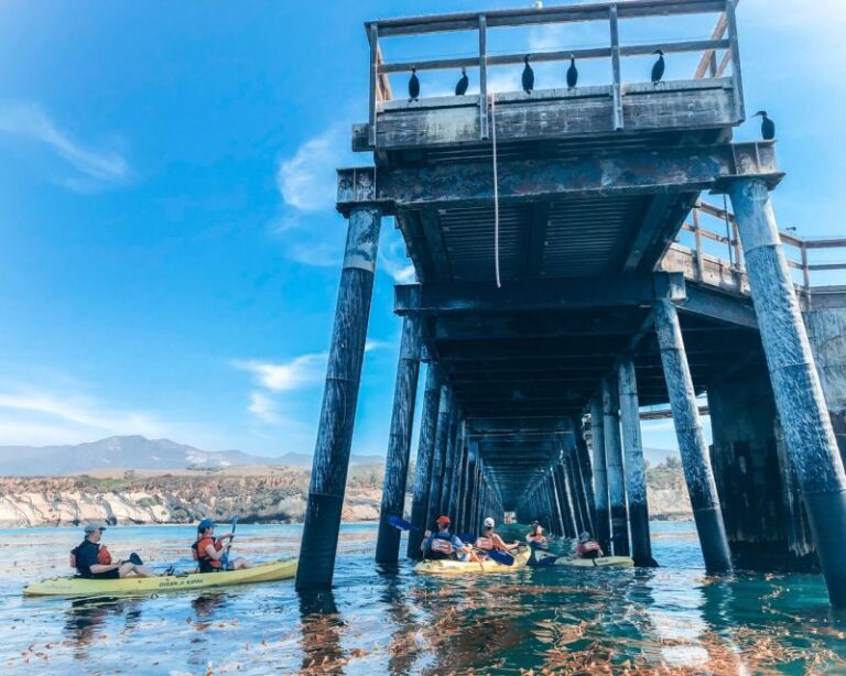 Gaviota Coast Near Santa Barbara: Kayak Tour (3.5 Hours) - An In-Depth Look at the Gaviota Coast Kayak Tour
