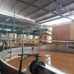 Get on Chile: know everything about tequila in "La Rienda" - Transportation, Timing, and Value