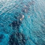 Get to know heaven on earth with Chivis del mar private - What’s Included and What’s Not