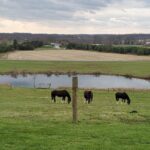 Gettysburg: Horse-Drawn Carriage Tour Countryside & Orchards - The Value of the Tour