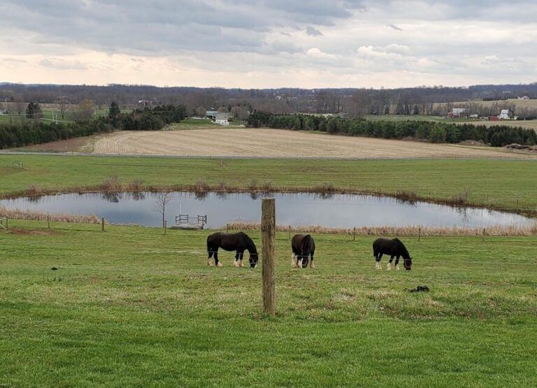 Gettysburg: Horse-Drawn Carriage Tour Countryside & Orchards - The Value of the Tour