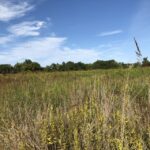 Gettysburg: The Wonder Women's Hidden Valor Walking Tour - Detailed Breakdown of the Tour Experience