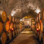 Gibbston Valley Wines - Winery Tour - Who Will Love This Tour