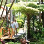 Ginger Factory and Nutworks Return Bus Transfer: Sunshine Coast - Exploring the Itinerary in Detail