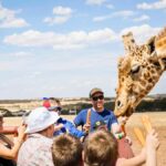 Giraffe Safari & a Day at Monarto Safari Park - What You Need to Know Before Booking