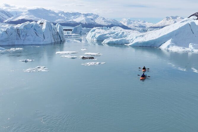 Glacier Blue Kayaking Knik Glacier Day Tour from Anchorage - Real Traveler Insights
