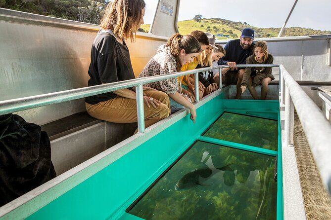 Glass Bottom Boat Tour - An In-Depth Look at the Glass Bottom Boat Experience