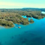 Glass Bottom Kayak Tour - What You Can Expect During the Tour