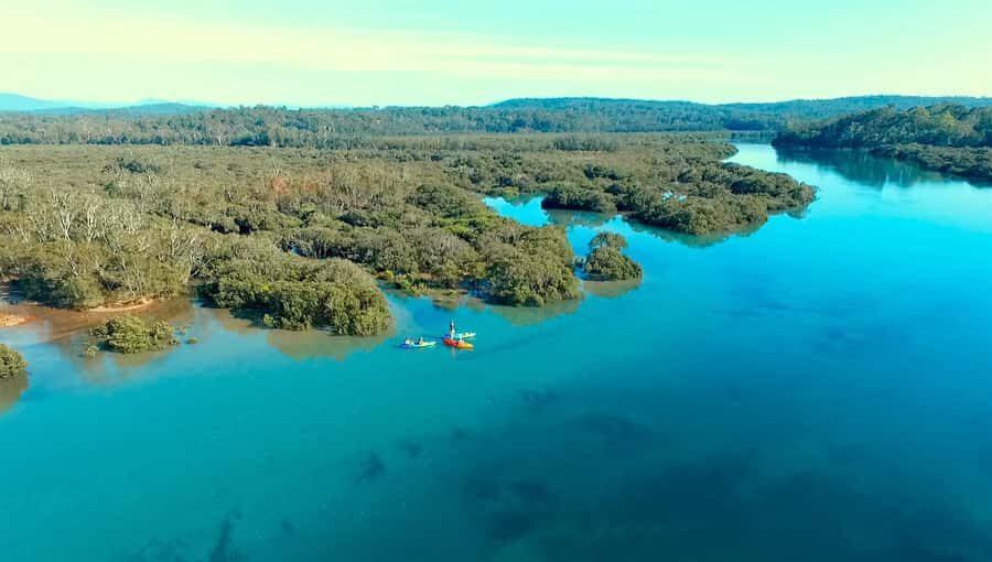 Glass Bottom Kayak Tour - What You Can Expect During the Tour
