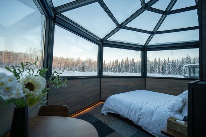 Glass Igloo 5 Days 4 Nights Ultimate Aurora Adventure - What Does the Experience Include?