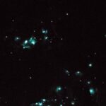 Glow Worm Caves Express Tour in Bay of Islands - What Travelers Are Saying