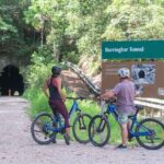 Glow Worm Tunnel Evening Guided Tour - Why This Tour Is a Great Choice