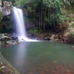 Glow Worms - Nocturnal Rainforest/Waterfall Adventure - An In-Depth Look at the Tour Itinerary