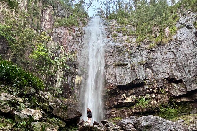 Glow-worms, Waterfalls & Rainforest Experience - What Makes This Tour Worth It?